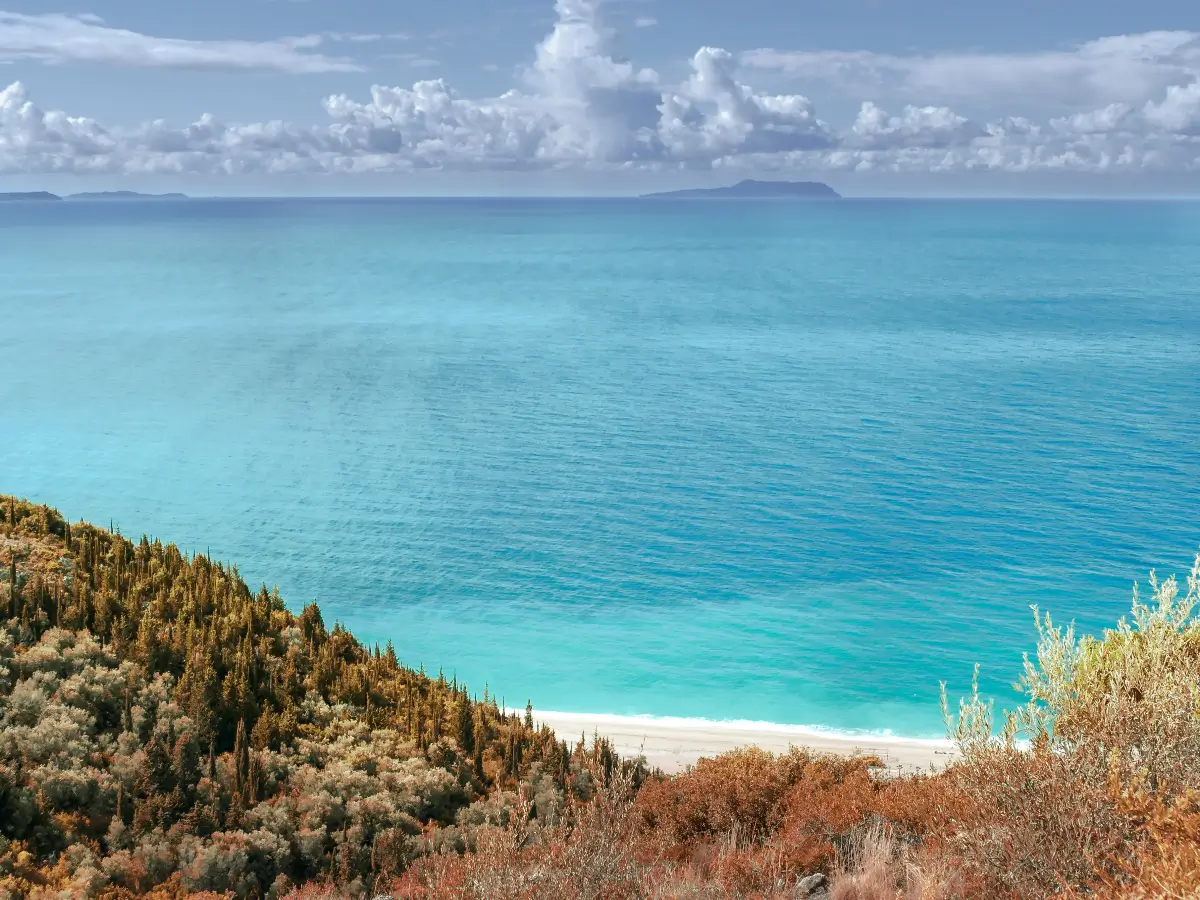 How to track your residency permit application status | Havenbach